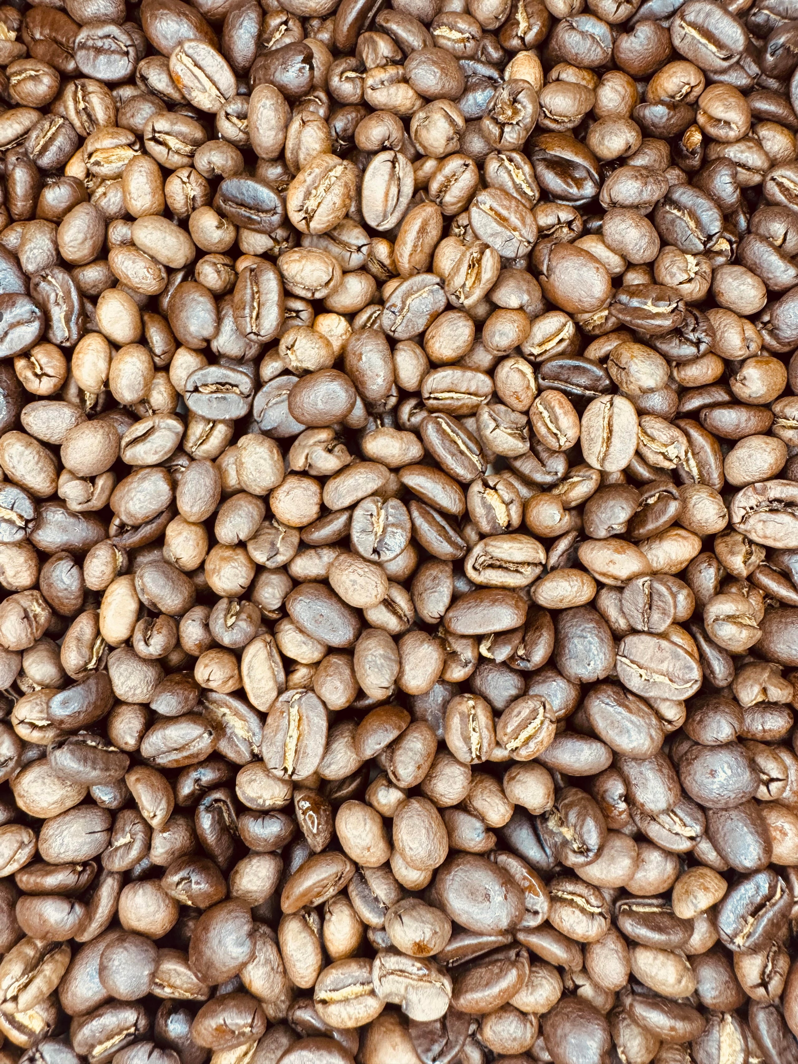 Snake River Blend | Great Northern Coffee Company