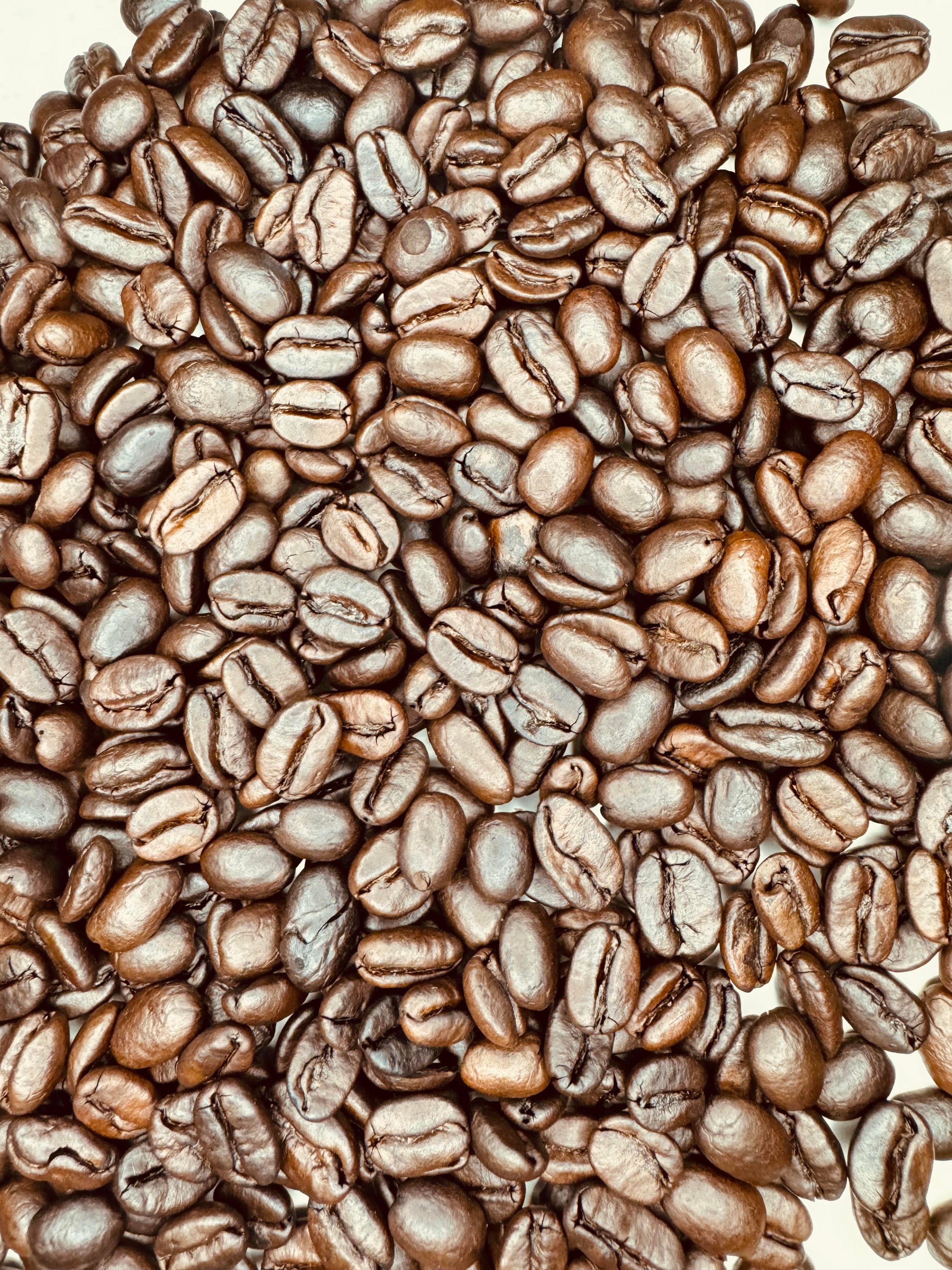 Espresso Roast Decaffeinated | Great Northern Coffee Company