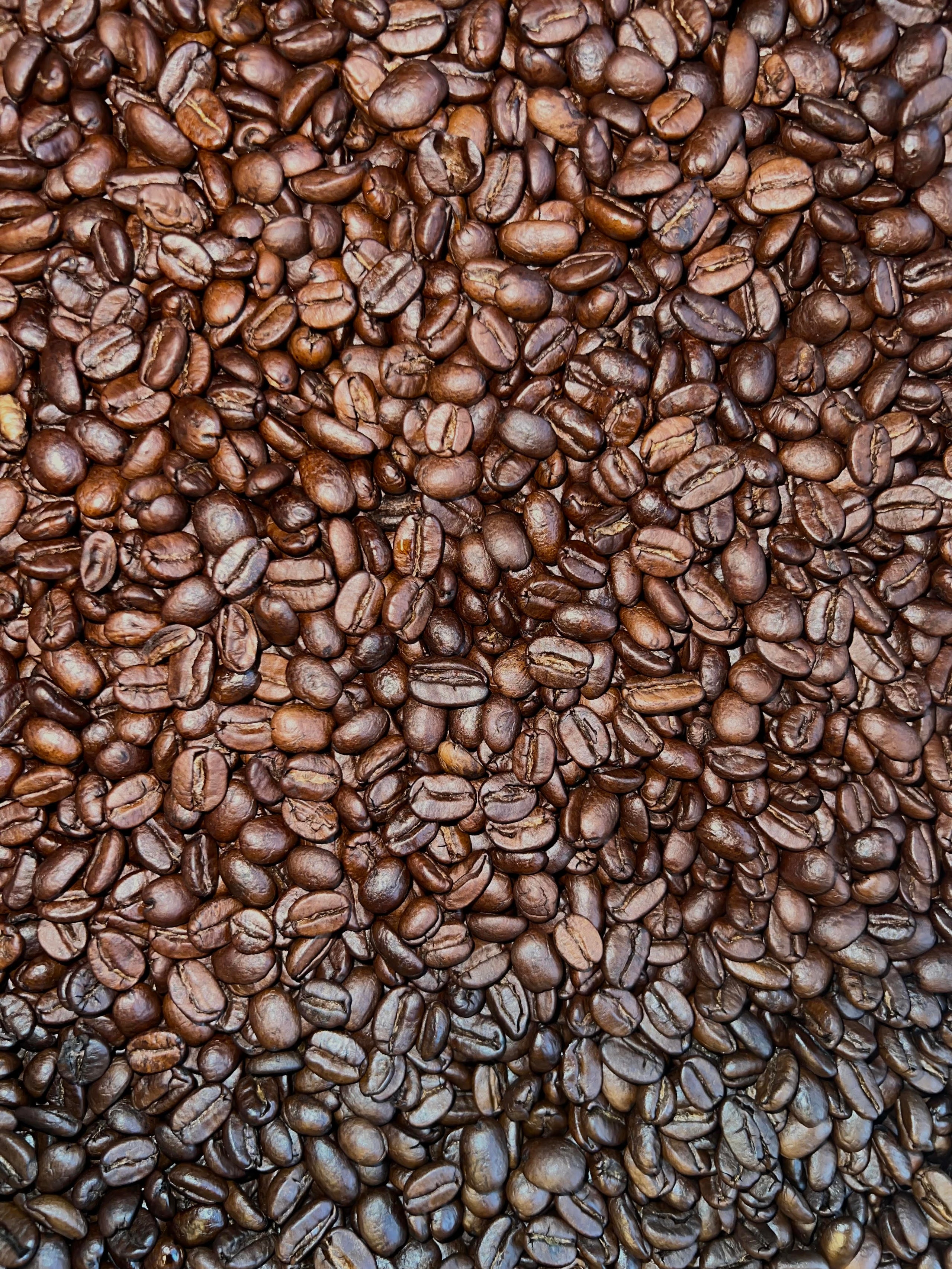 Organic Mexican Miravalles SWP Decaffeinated | Great Northern Coffee ...